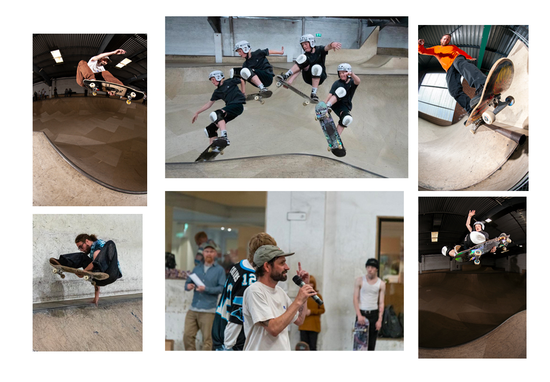 the predatory bird – Animals, vegetables, minerals, skateboarding ...